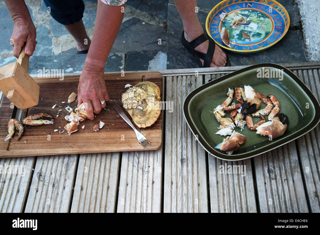 Cornwall. Roseland Peninsular. St Mawes . Preparing cooked crab for ...