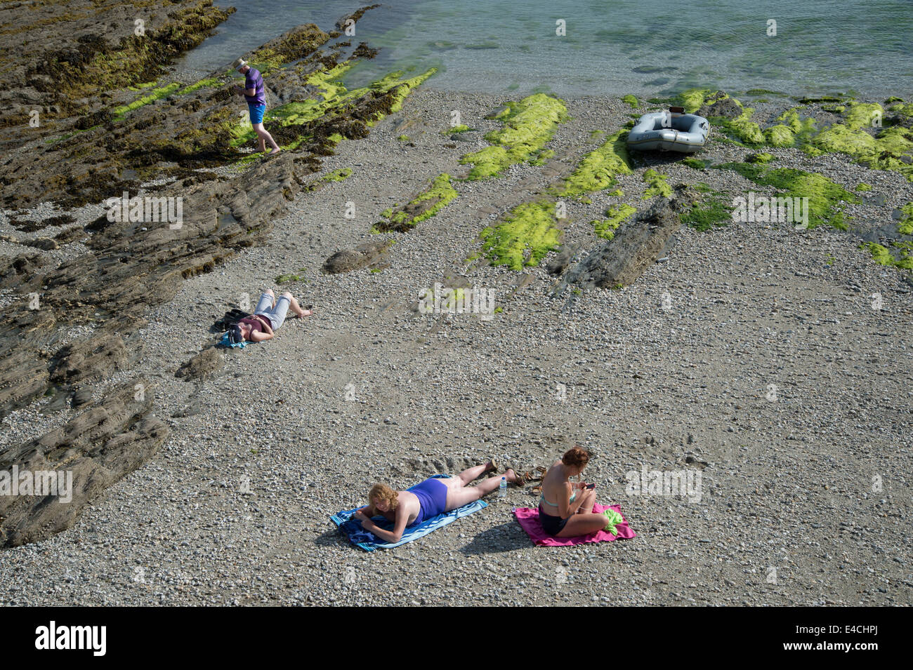 Cornwall. Roseland Peninsular. St Mawes beach. Texting and sunbathing ...