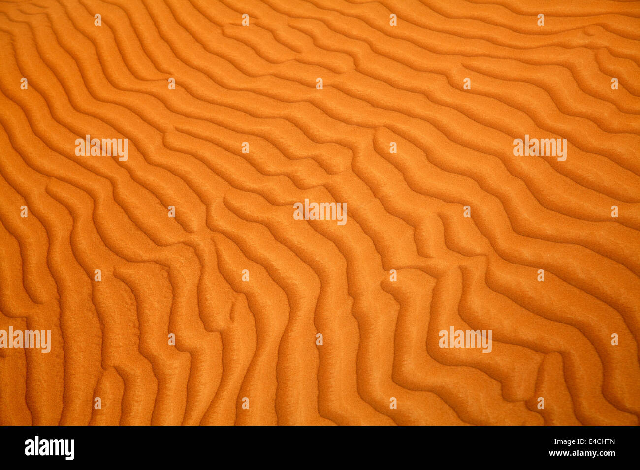Red sand "Arabian desert" near Dubai, United Arab Emirates Stock Photo ...