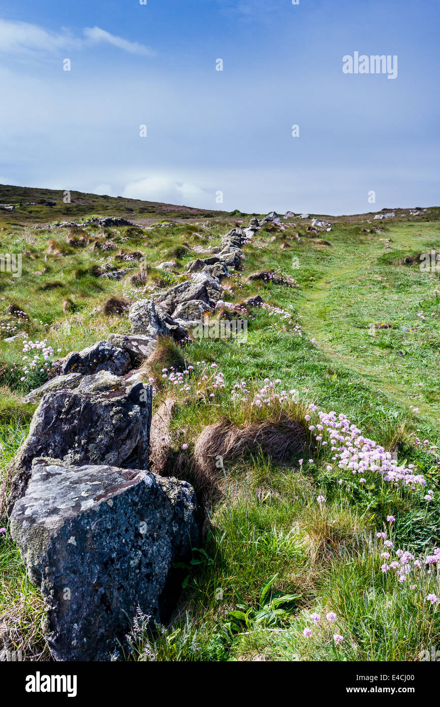 Stone wall on the cliffs above St. Ives, Cornwall, UK Stock Photo - Alamy