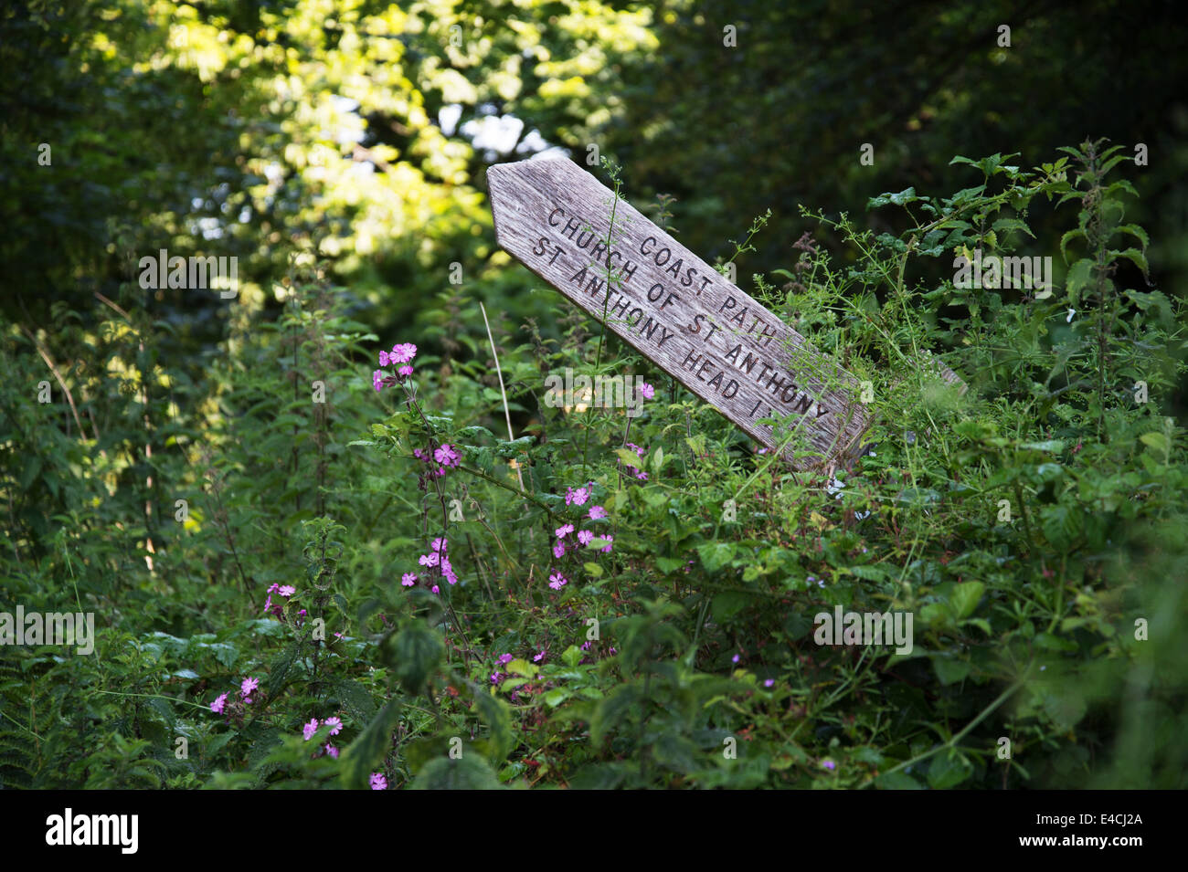 Cornwall. Roseland Peninsular. Place. Sign for coastal path to St ...