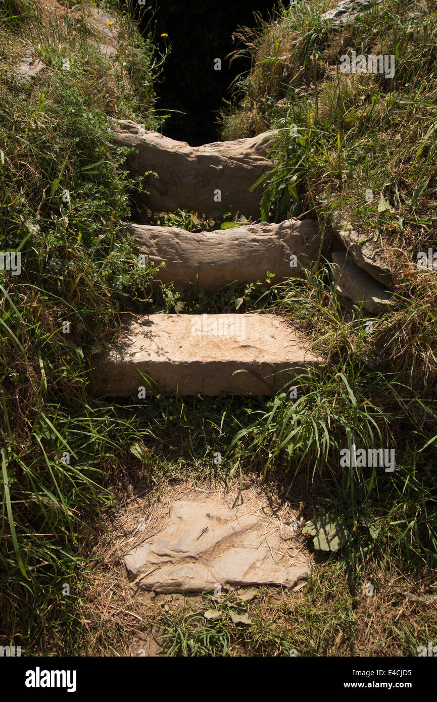 Cornwall. Roseland Peninsular. Coastal path - step style Stock Photo ...