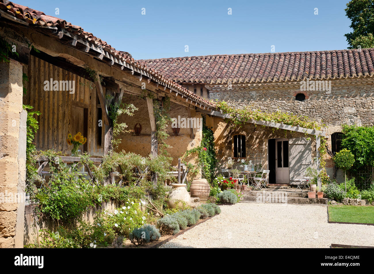 Exterior facade of old converted french barn with lean to and climbing ...
