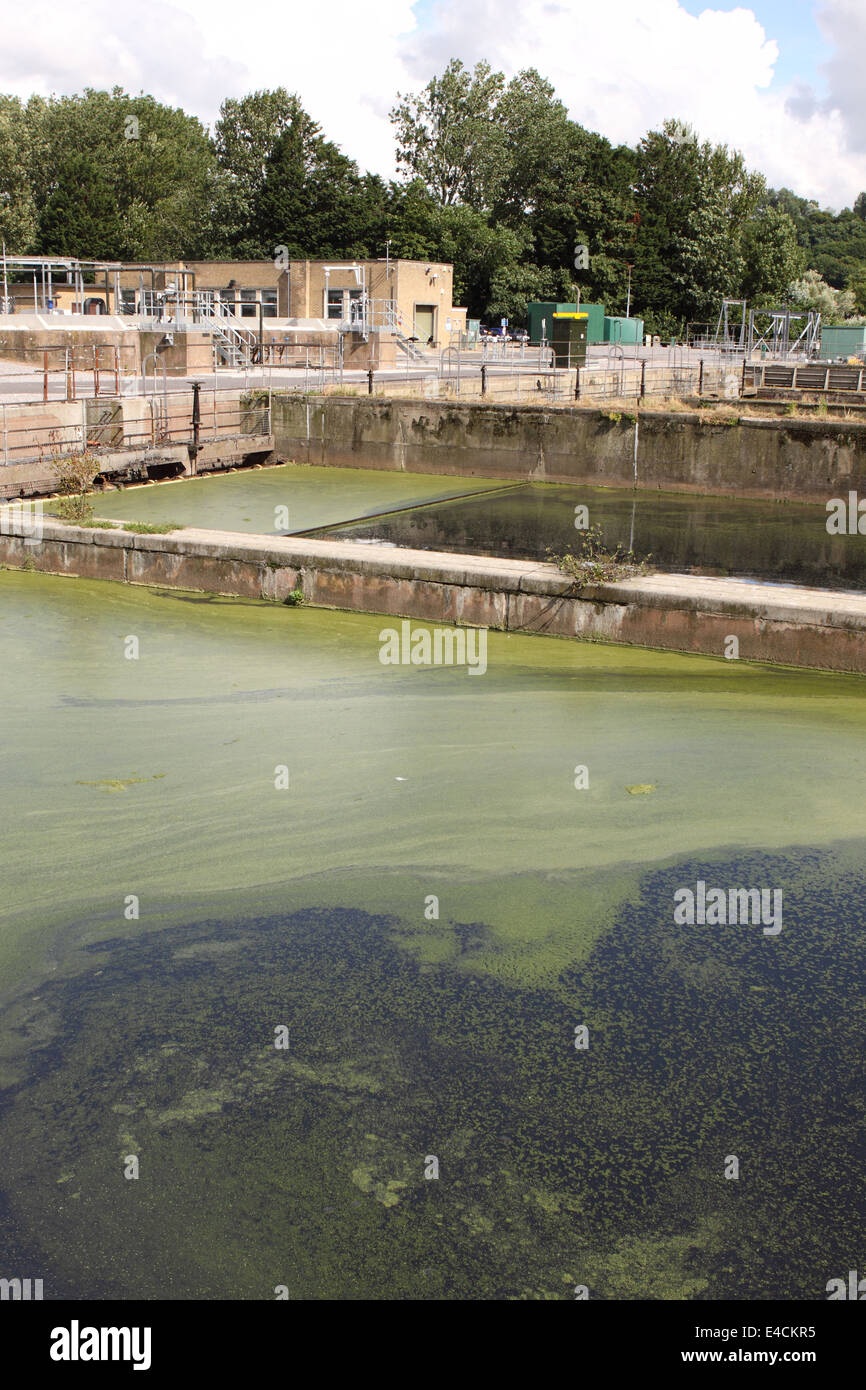 Sewage treatment plant works primary settlement tanks where solids ...