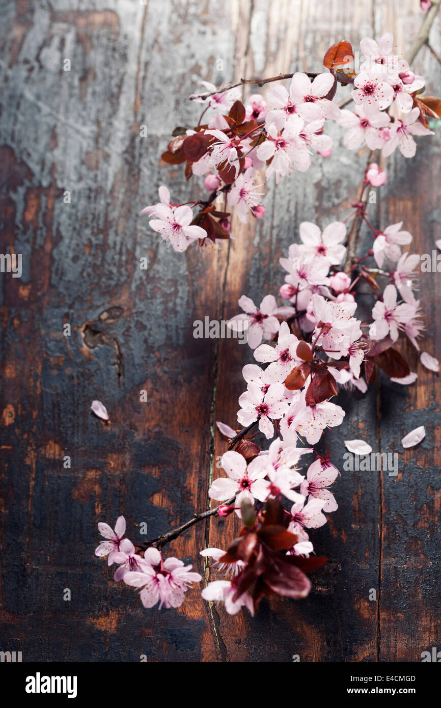 Spring blossom on rustic wooden table Stock Photo - Alamy
