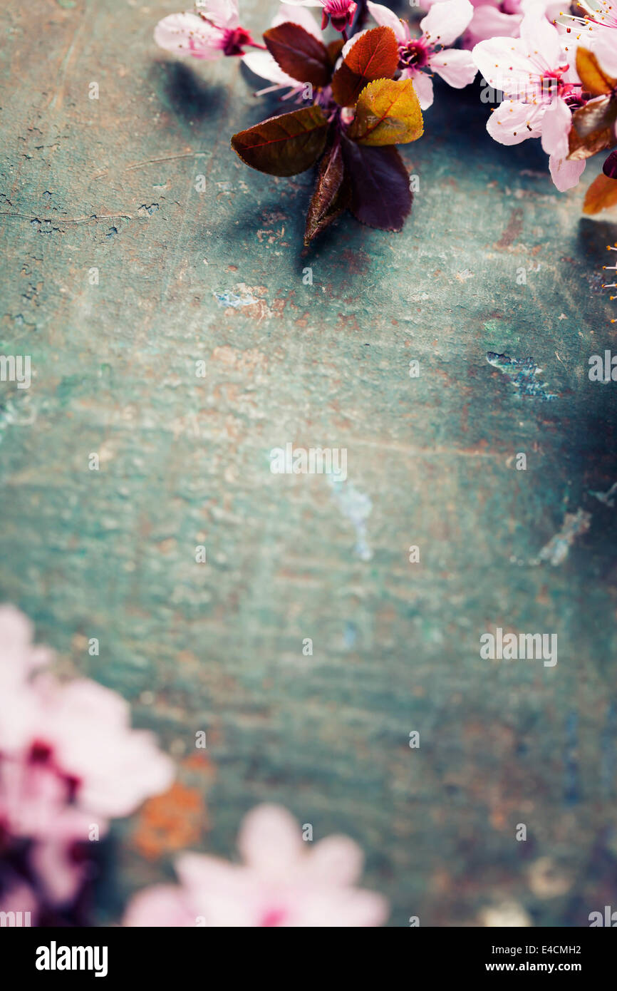 Spring blossom on rustic wooden table Stock Photo - Alamy