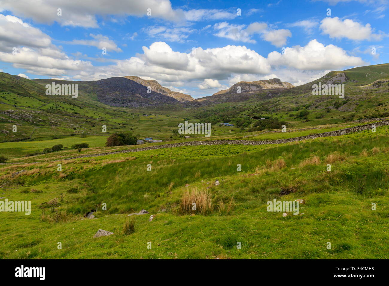 Rhinogs hi-res stock photography and images - Alamy