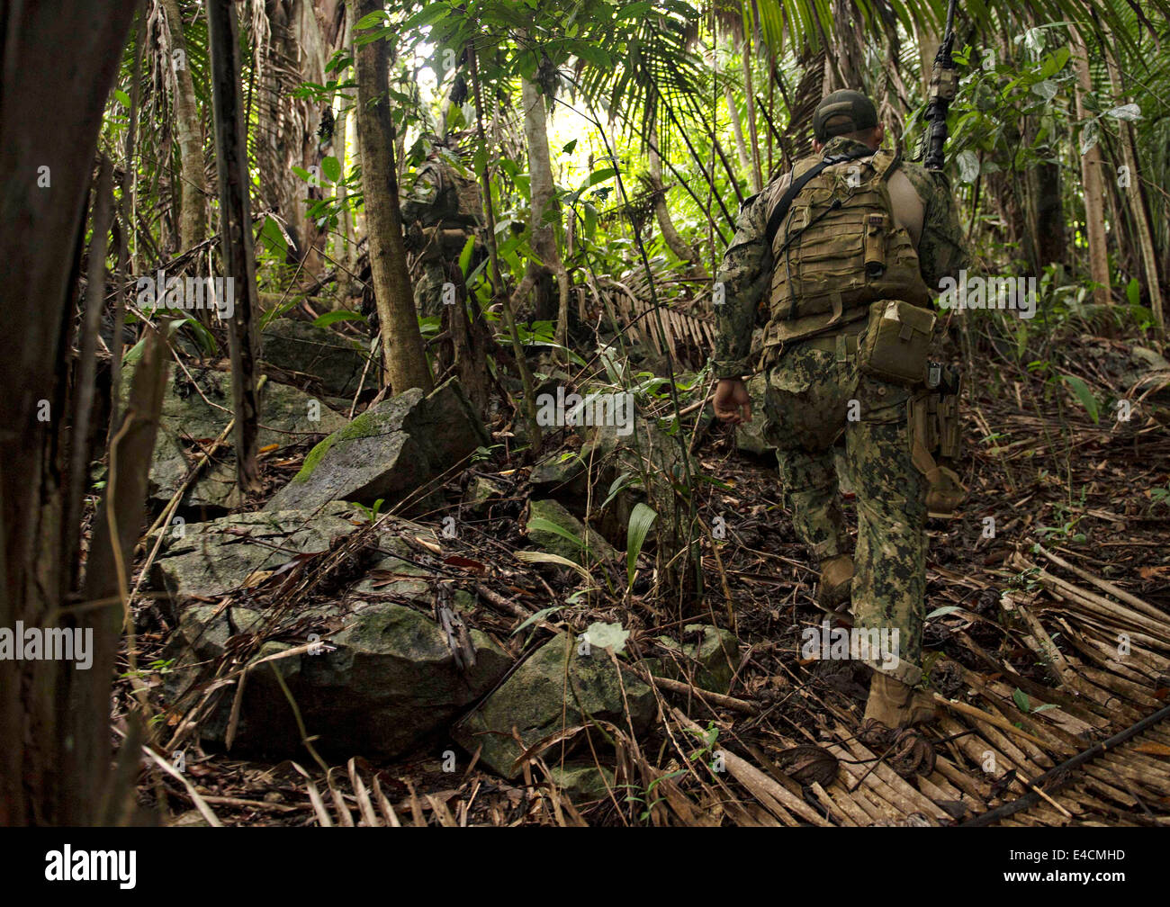 Jungle operation High Resolution Stock Photography and Images - Alamy