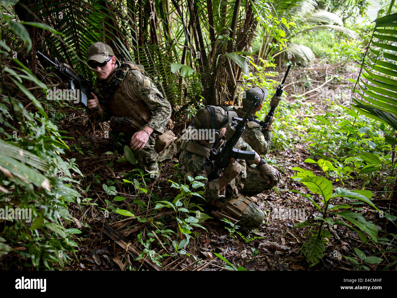 Jungle operation High Resolution Stock Photography and Images - Alamy