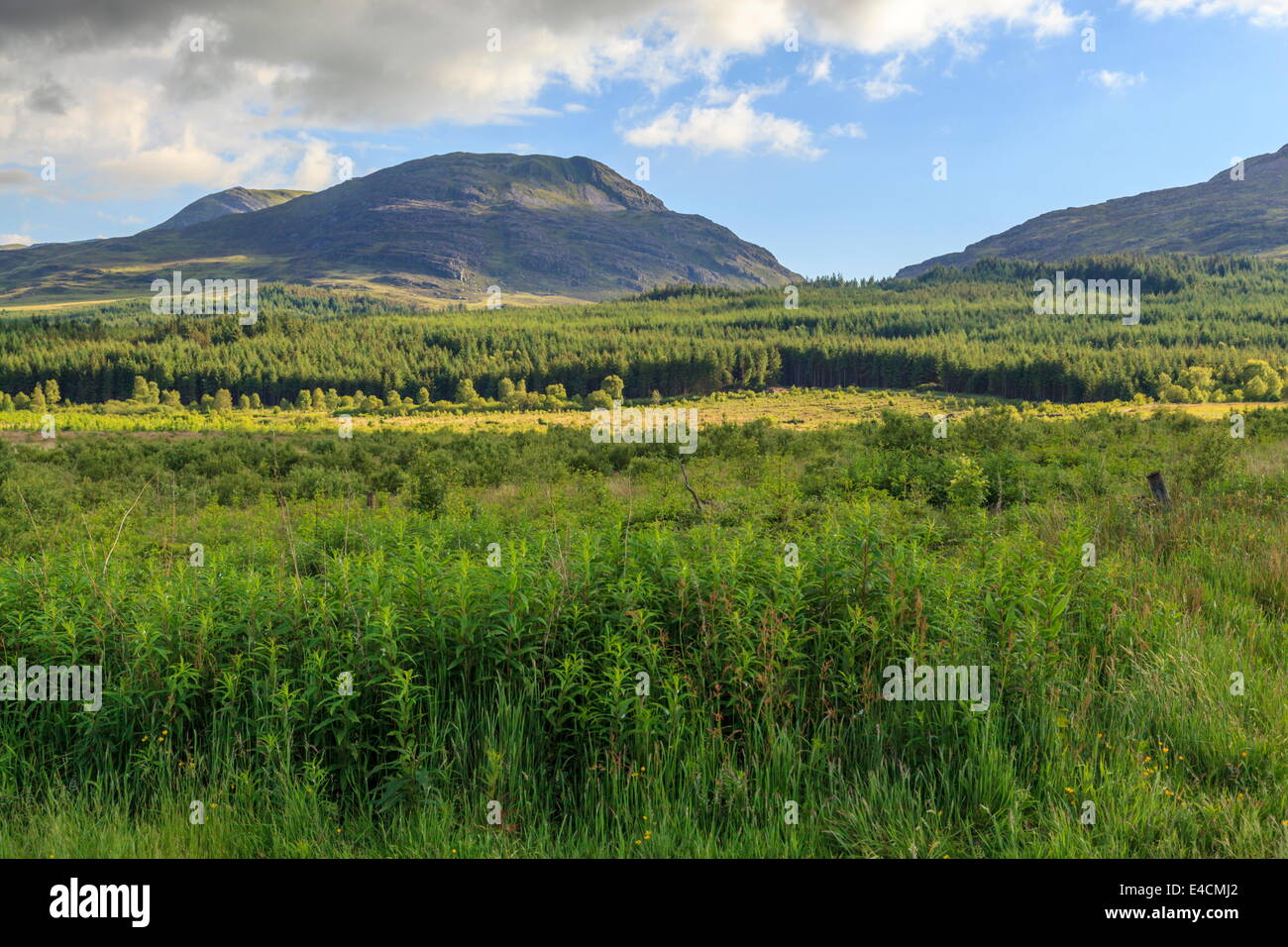 Rhinog Fach viewed from the North East side Stock Photo - Alamy