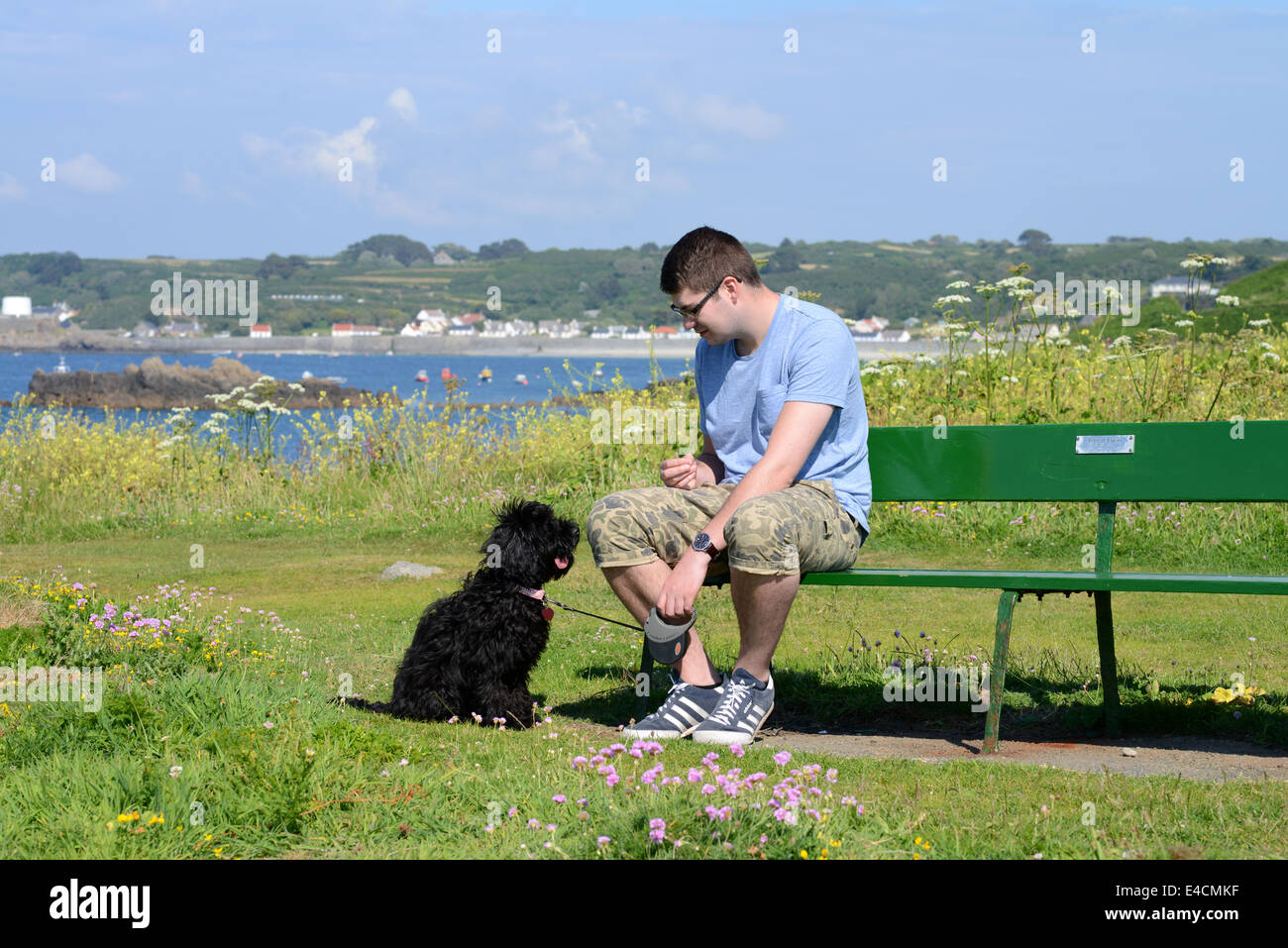 Man sat on bench with Cockapoo dog Stock Photo - Alamy