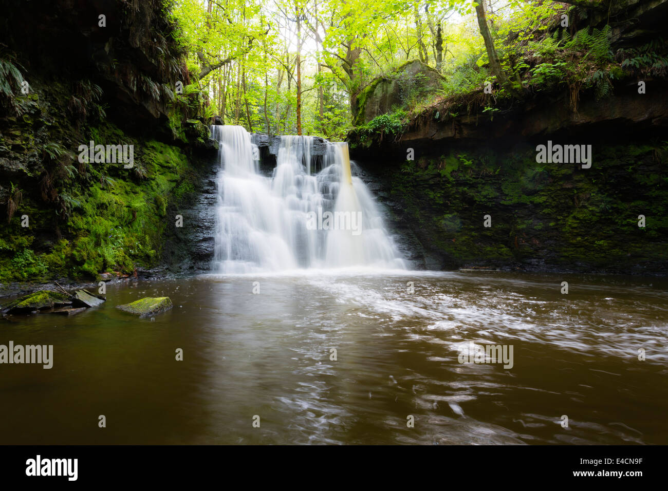 Goit stock harden hi-res stock photography and images - Alamy