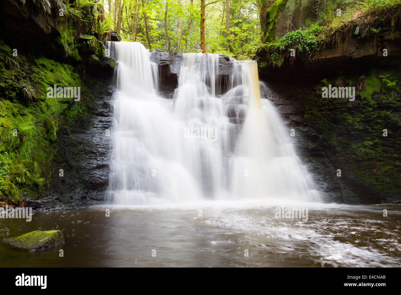 Goit Stock waterfall in Haren Woods near Bradford Stock Photo - Alamy