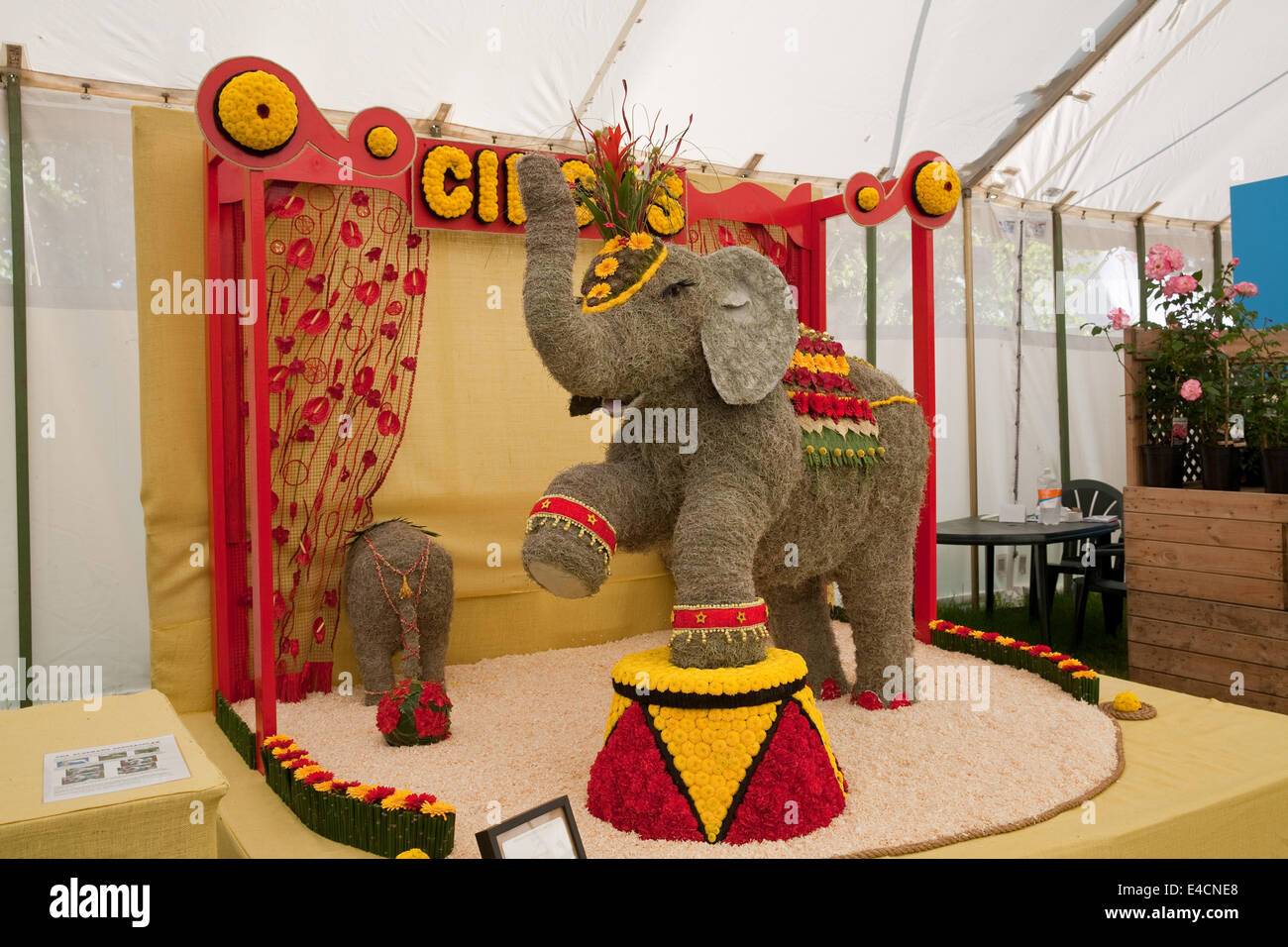 Hampton Court,8th July 2014, McKinley Gibson elephant display won gold ...