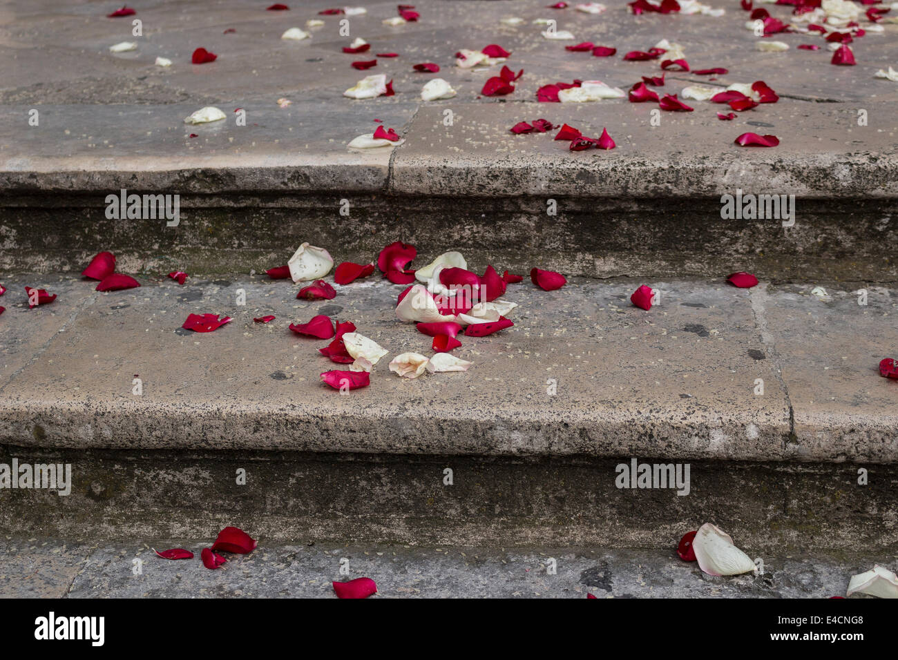 Just married: rose petals and rice grains on the steps of a staircase ...