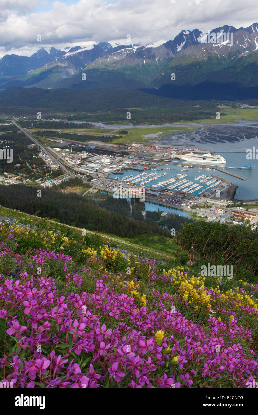 Resurrection Bay and city of Seward from Mt Marathon, Seward, Alaska ...