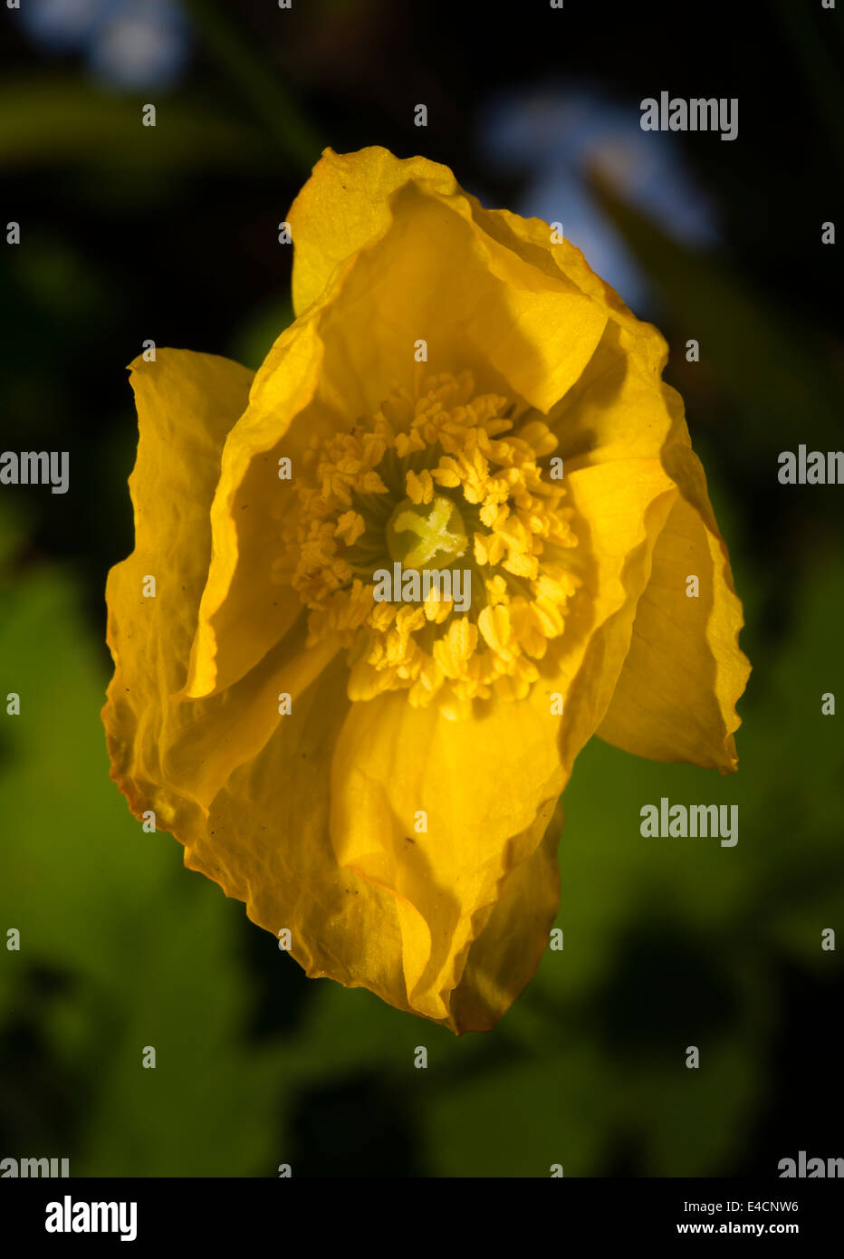 Spring colour hi-res stock photography and images - Alamy