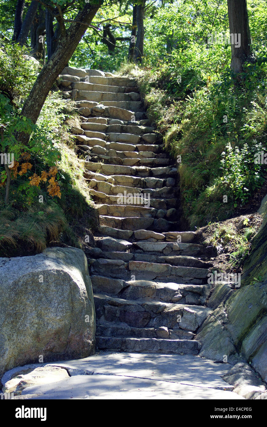 Nature trail stairway hi-res stock photography and images - Alamy