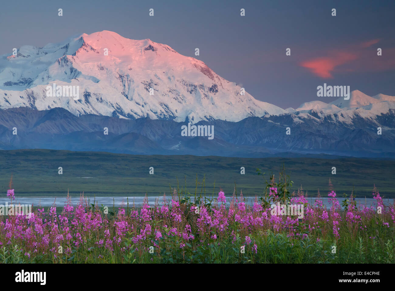 Mt McKinley also known as Denali, Denali National Park, Alaska Stock ...