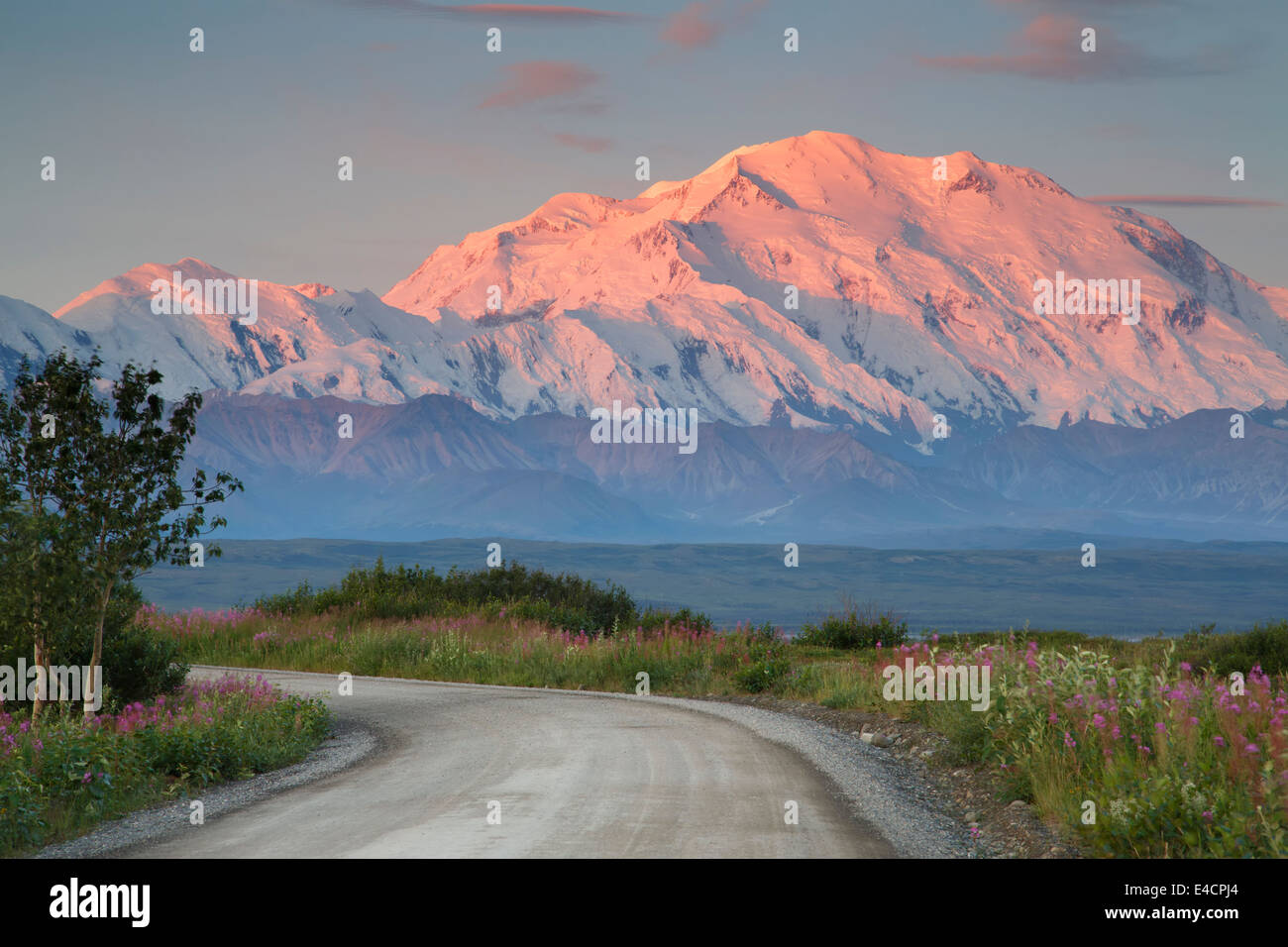 Mt McKinley also known as Denali, Denali National Park, Alaska Stock ...
