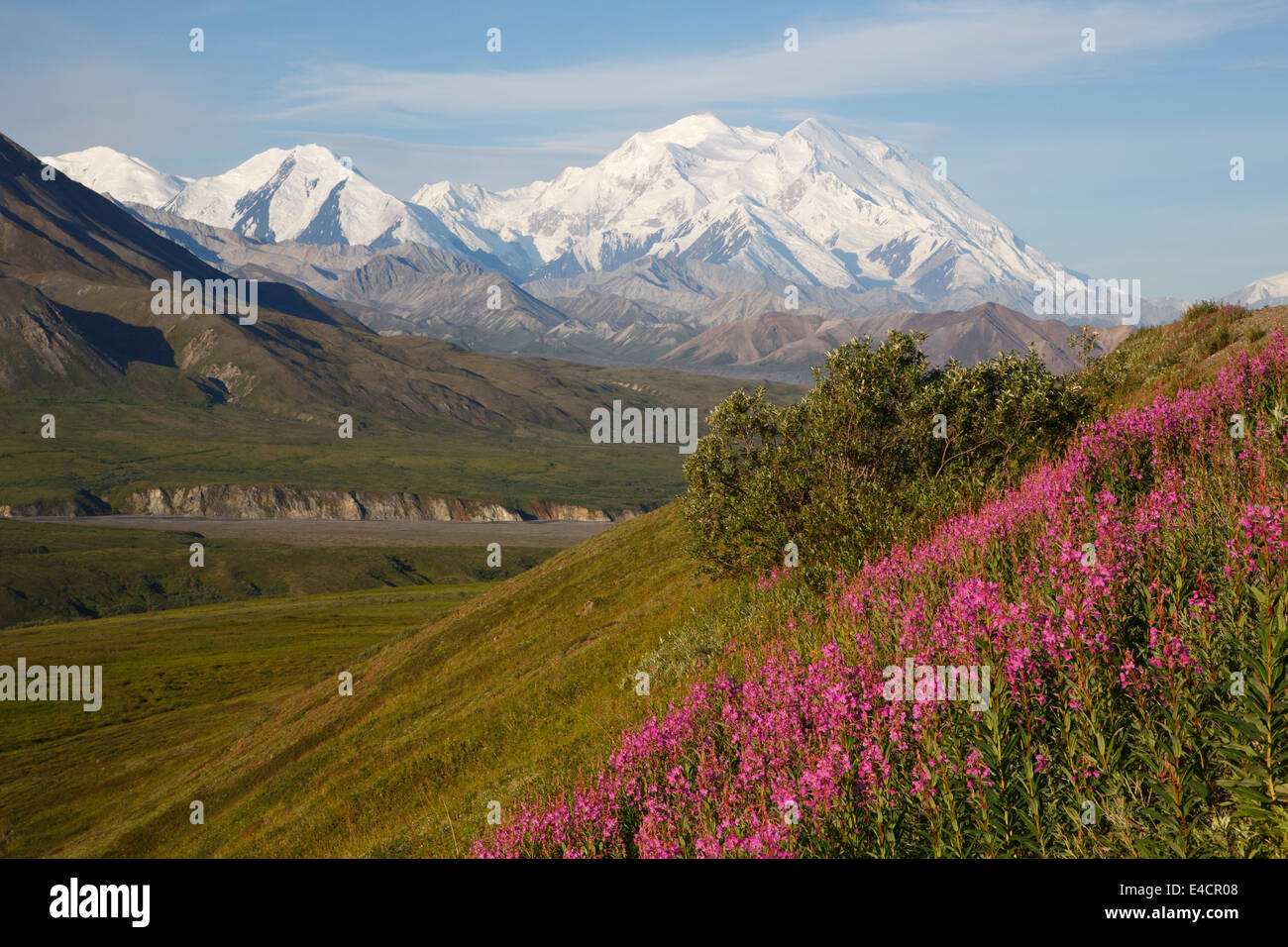 Mt McKinley also known as Denali, Denali National Park, Alaska Stock ...