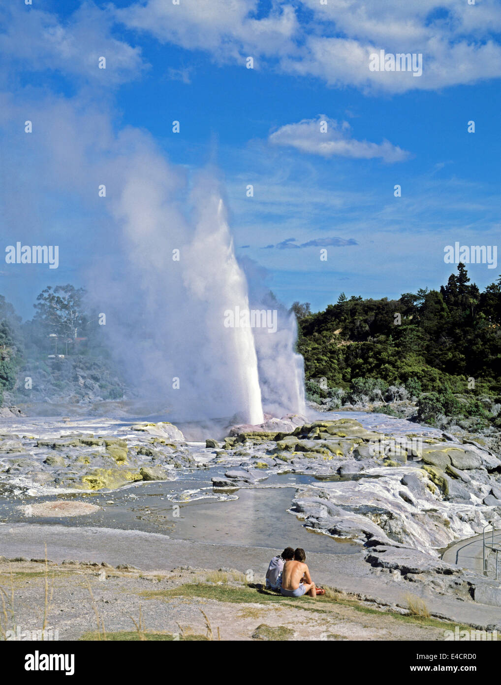 Steam erupting from geyser, Rotorua, New Zealand Stock Photo - Alamy