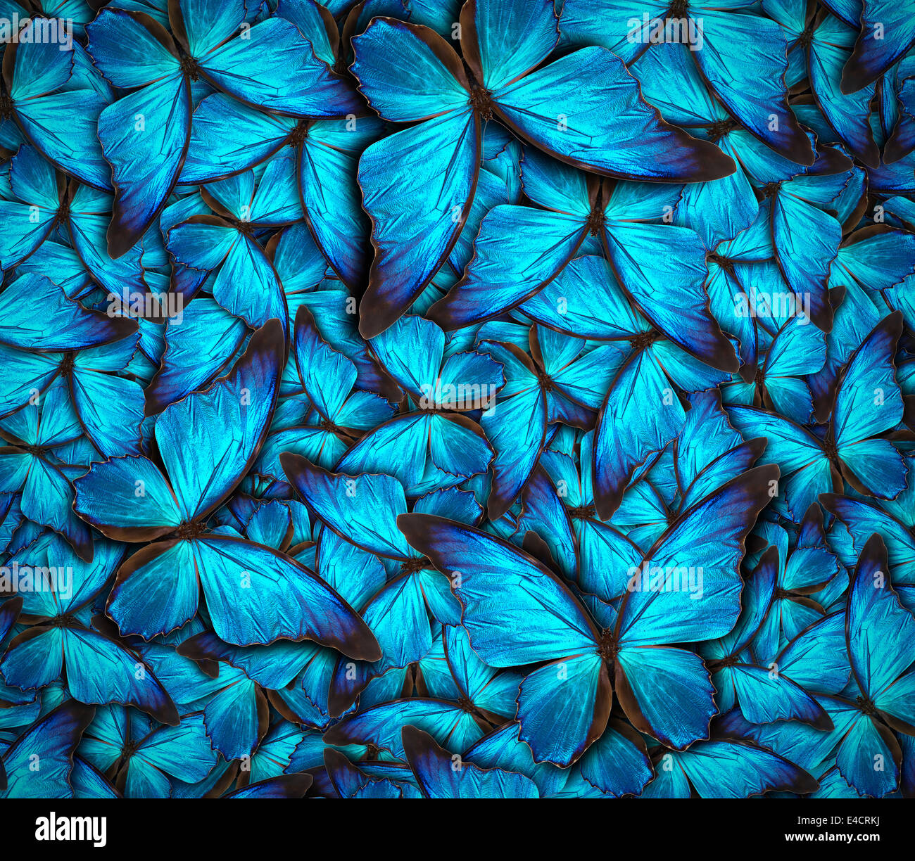 beautiful butterfly background Stock Photo - Alamy