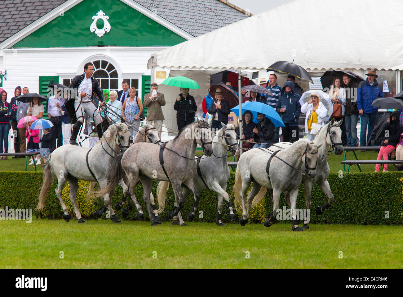 Yorkshire show hi-res stock photography and images - Alamy