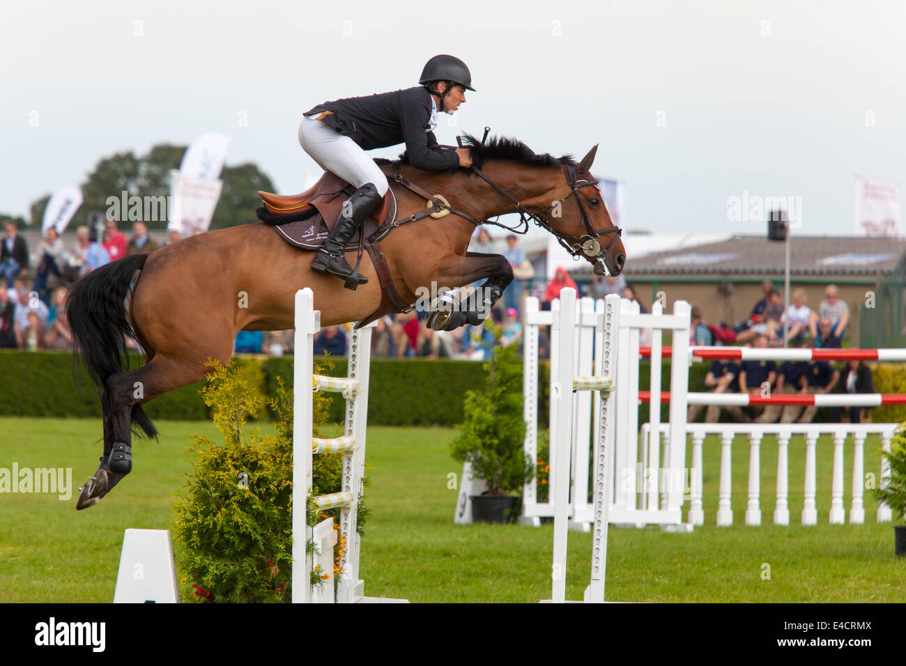 Show jumping competition hi-res stock photography and images - Alamy