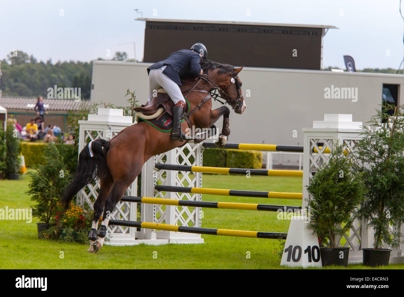 Show jumping competition at the Great Yorkshire Show 2014 Stock Photo ...