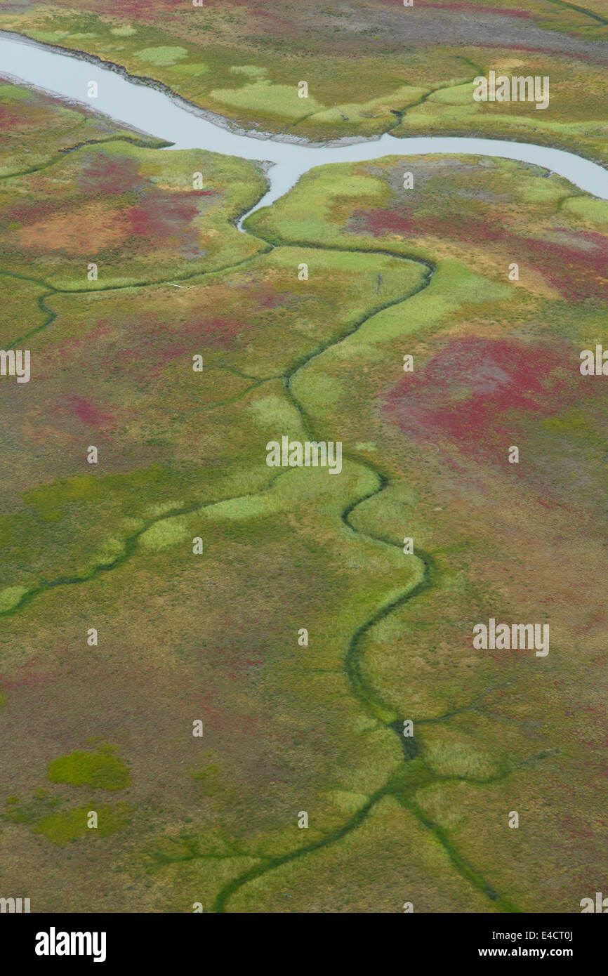 Aerial view of mud flat along Cook Inlet, Alaska Stock Photo - Alamy