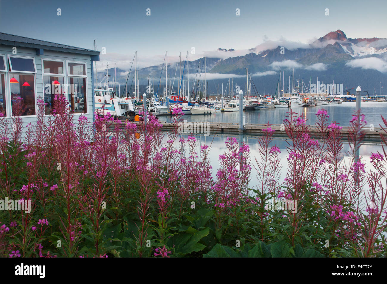 Seward Small Boat Harbor at the head of Resurrection Bay, Seward ...
