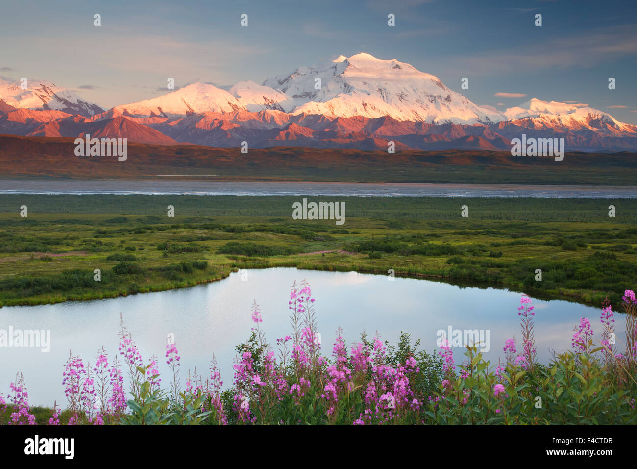Mt. McKinley, also known as Denali, Denali National Park, Alaska Stock ...
