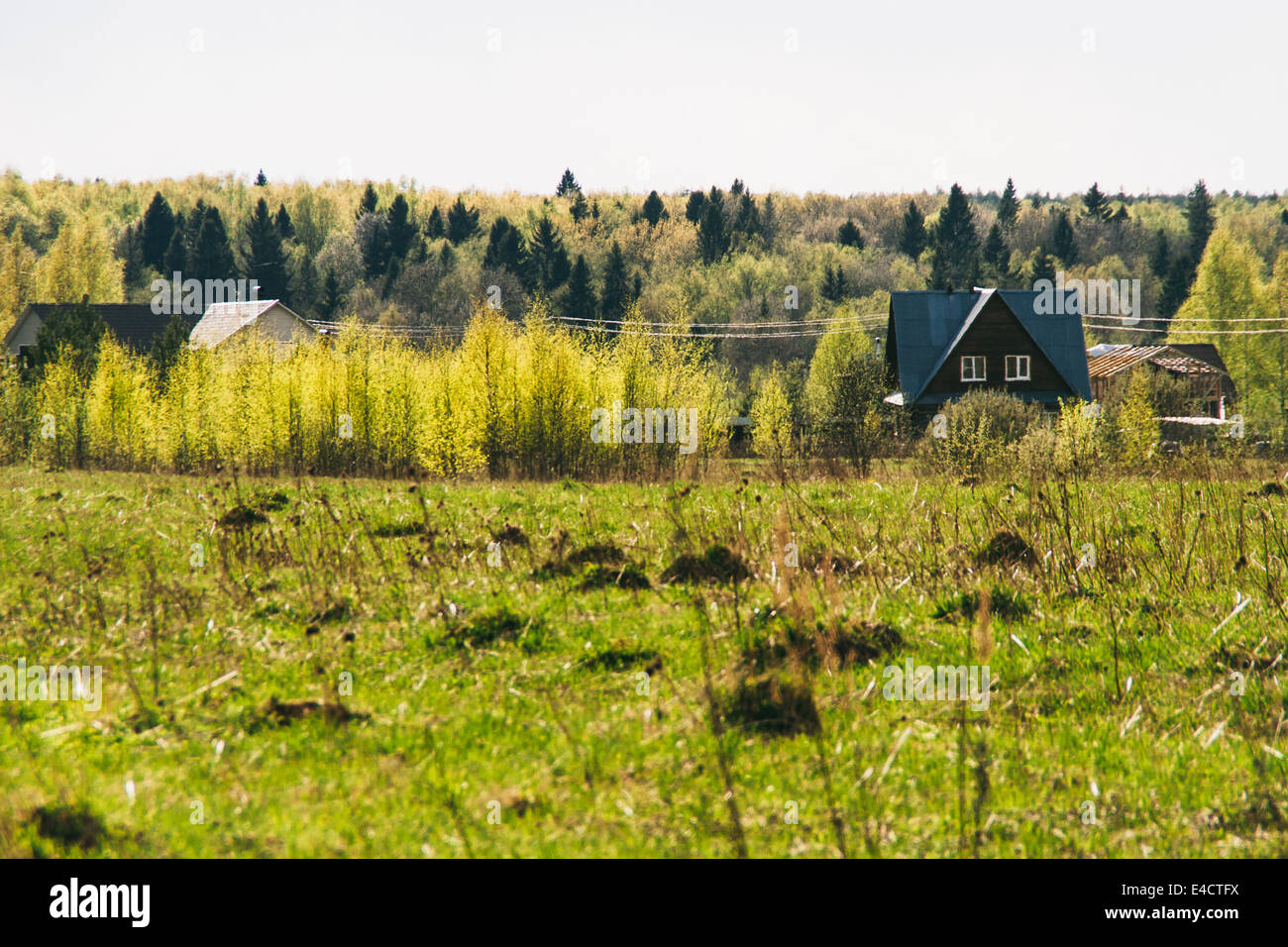 Russian green landscape hi-res stock photography and images - Alamy