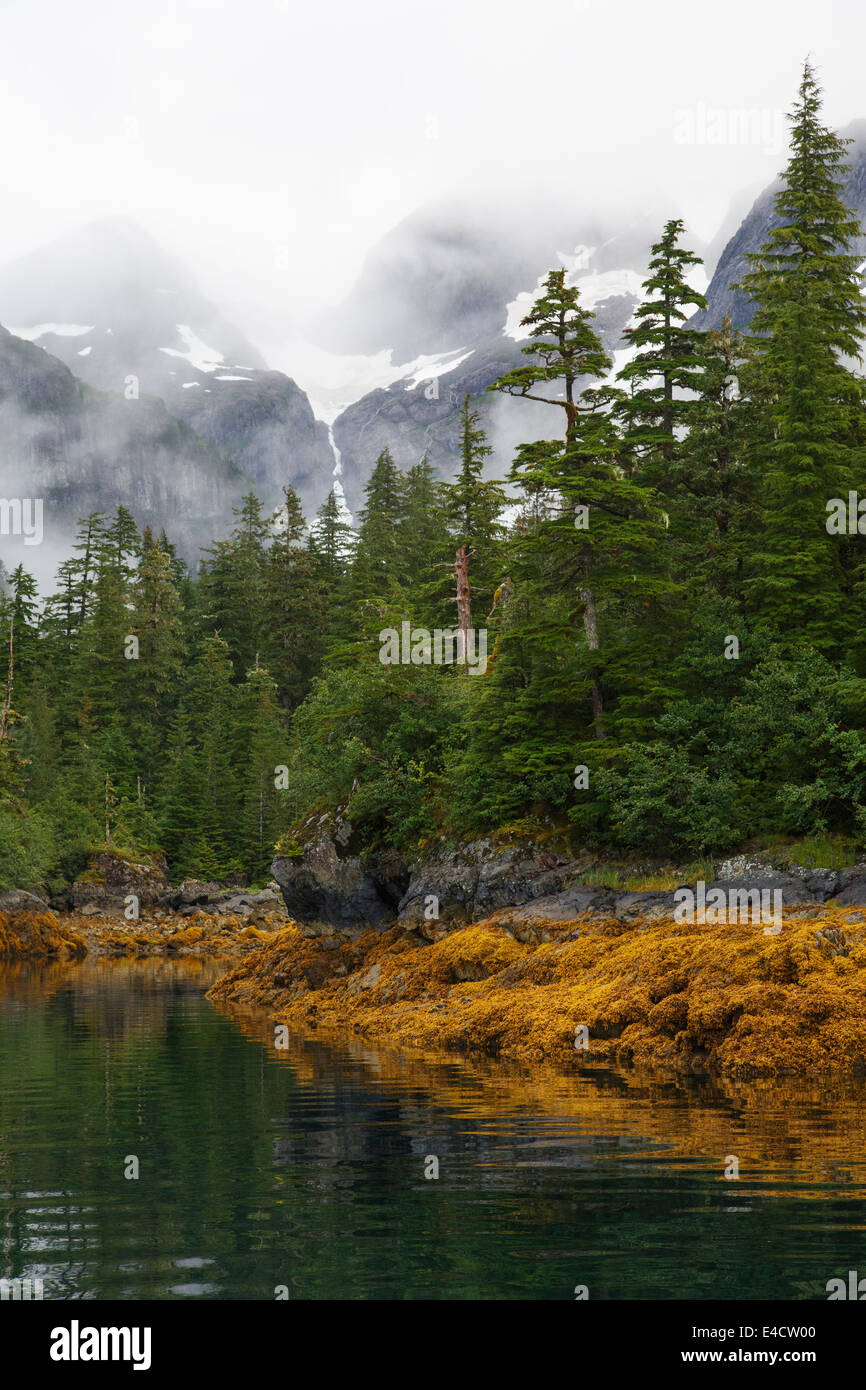 Knight Island, Prince William Sound, Chugach National Forest, Alaska ...