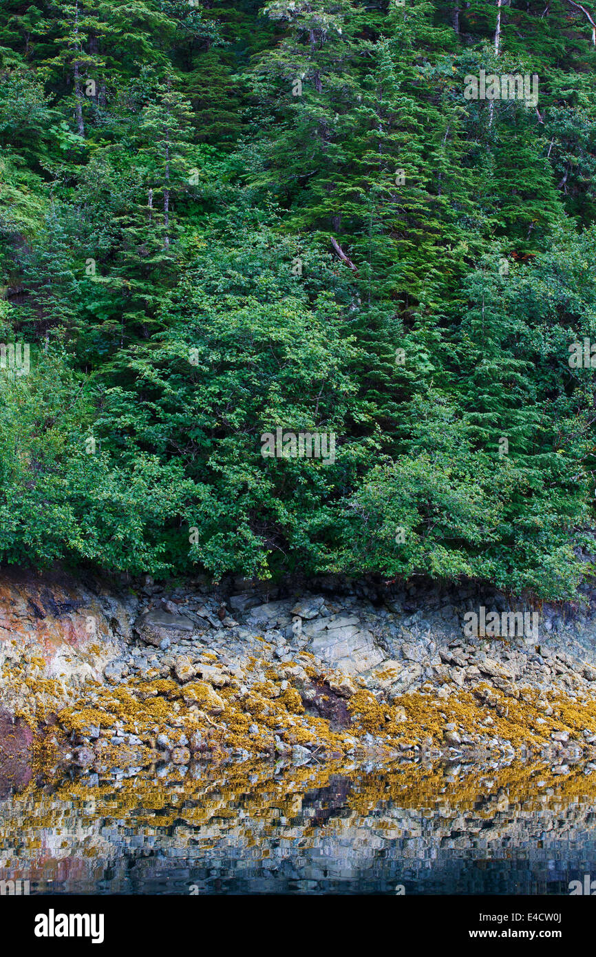 Knight Island, Prince William Sound, Chugach National Forest, Alaska ...