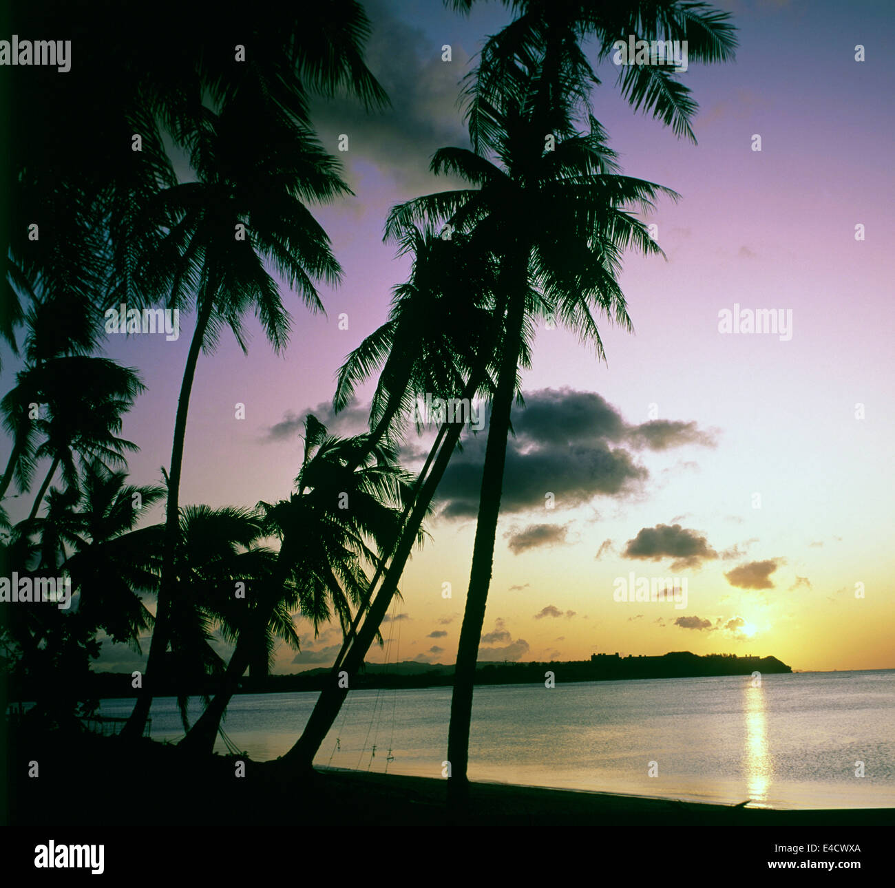 Sunset view of beach showing palm trees, Indonesia Stock Photo - Alamy