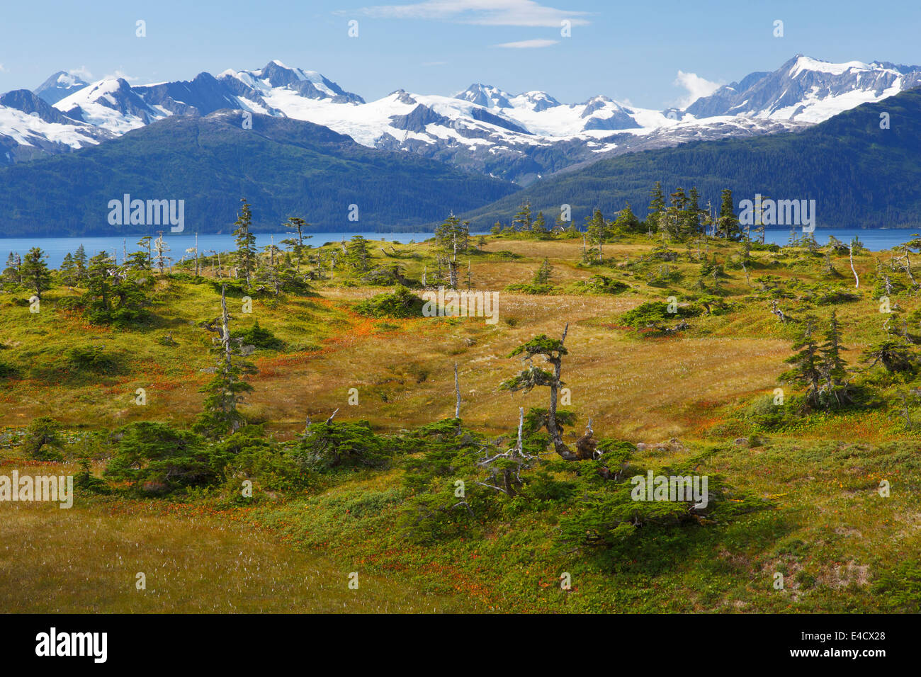 Along Esther Passage and Port Wells, Prince William Sound, Chugach ...