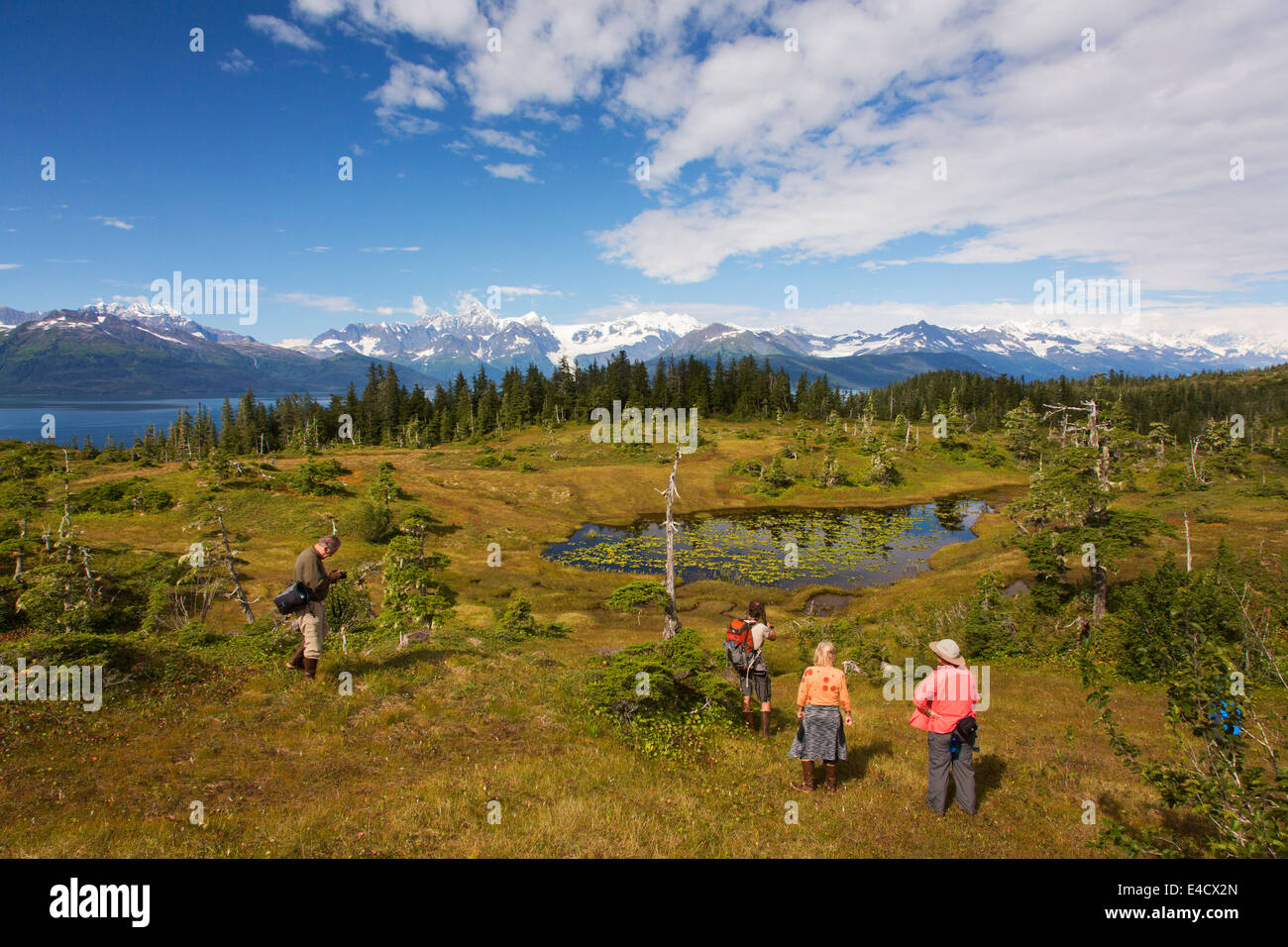 Hiking, Prince William Sound, Chugach National Forest, Alaska Stock ...