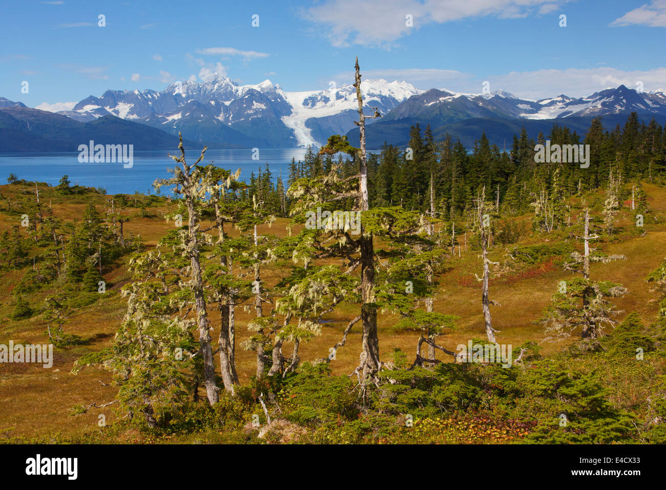 Along Esther Passage and Port Wells, Prince William Sound, Chugach ...