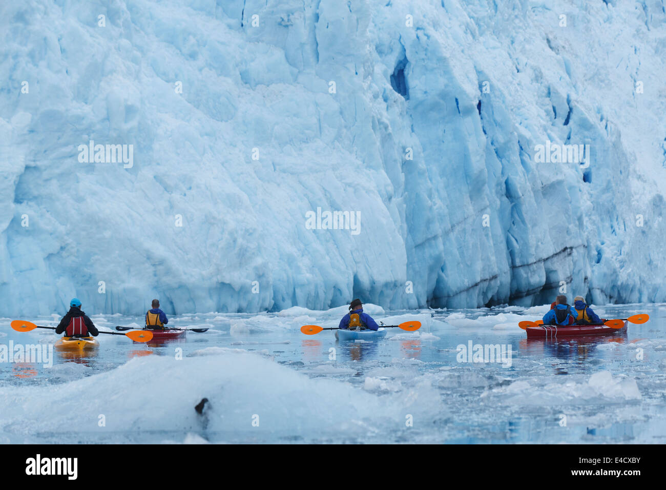 Kayaking in front of Barry Glacier, Harriman Fjord, Prince William ...
