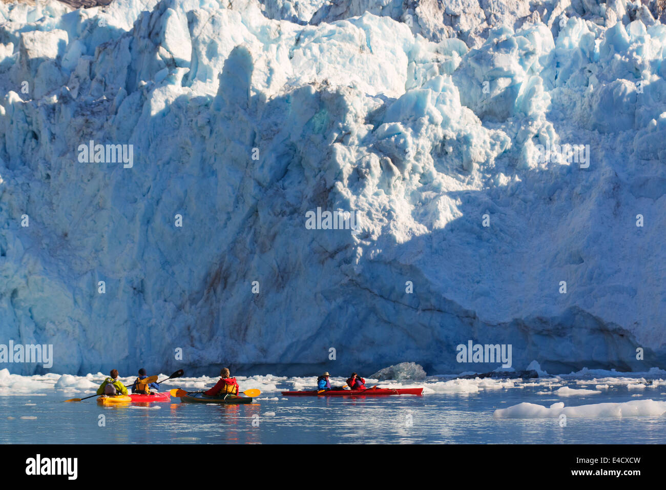 Kayaking in front of Barry Glacier, Harriman Fjord, Prince William ...