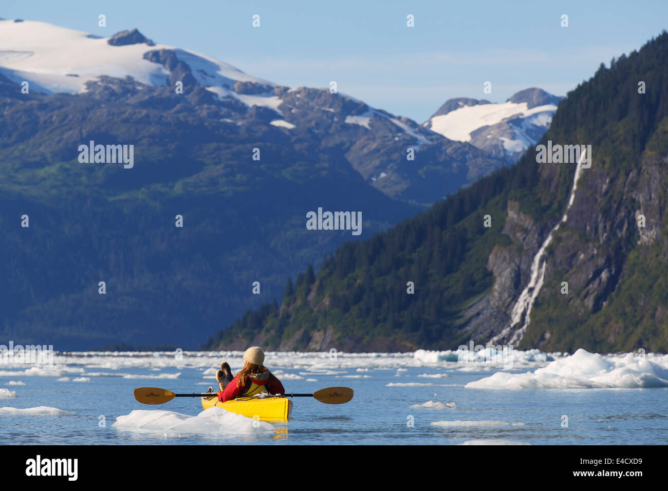 Kayaking in front of Barry Glacier, Harriman Fjord, Prince William ...
