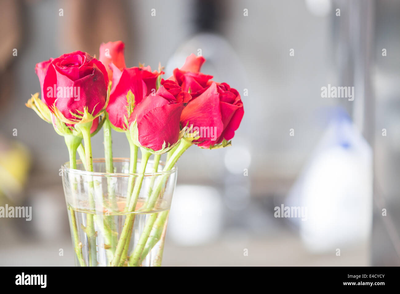 Bouquet of blossoming red roses in vase, stock photo Stock Photo - Alamy