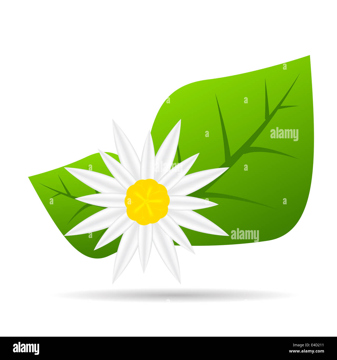 Abstract Colorful Flowers. Vector Illustration Stock Photo - Alamy