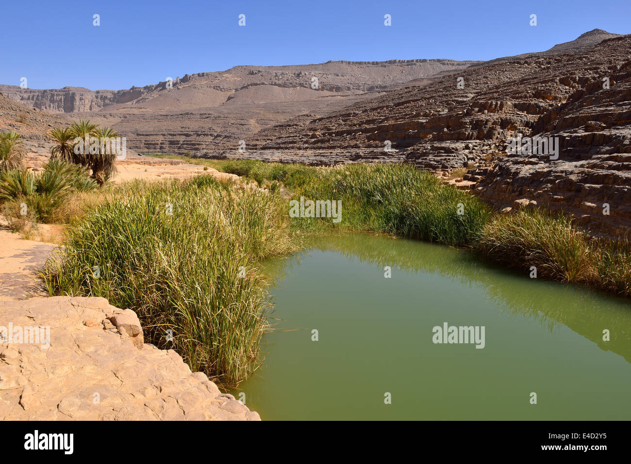 Water in a guelta in Idaran Canyon, Iherir, Tassili n'Ajjer National ...