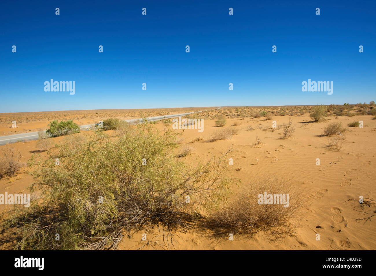 Kyzyl Kum desert, Uzbekistan Stock Photo - Alamy