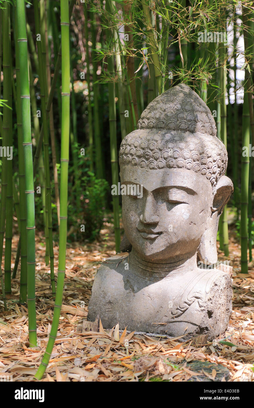 Buddha head, Les Bambous du Mandarin bamboo forest, Département Var ...