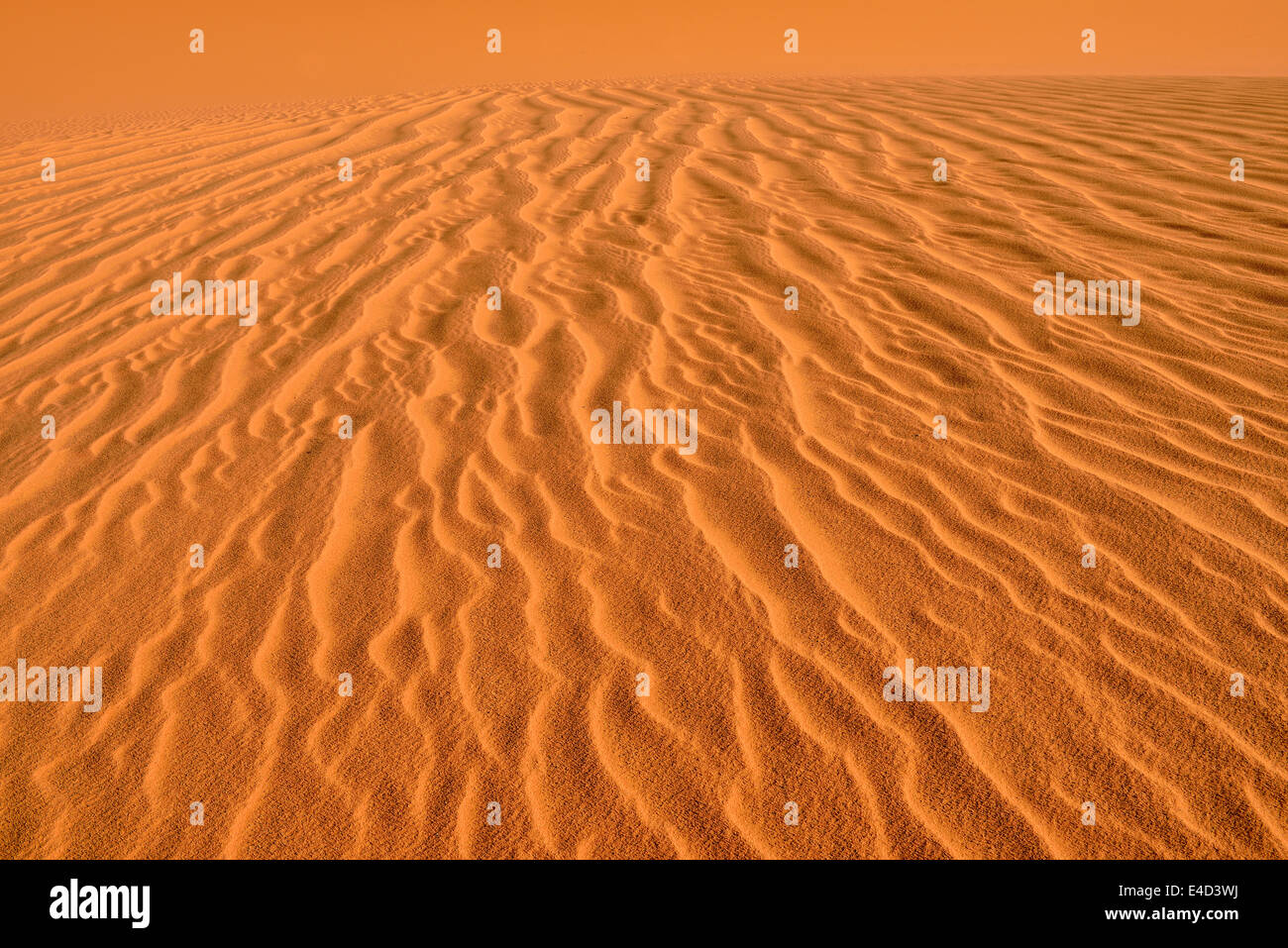 Sand ripples, texture on a sand dune, Tassili n'Ajjer, Sahara desert ...