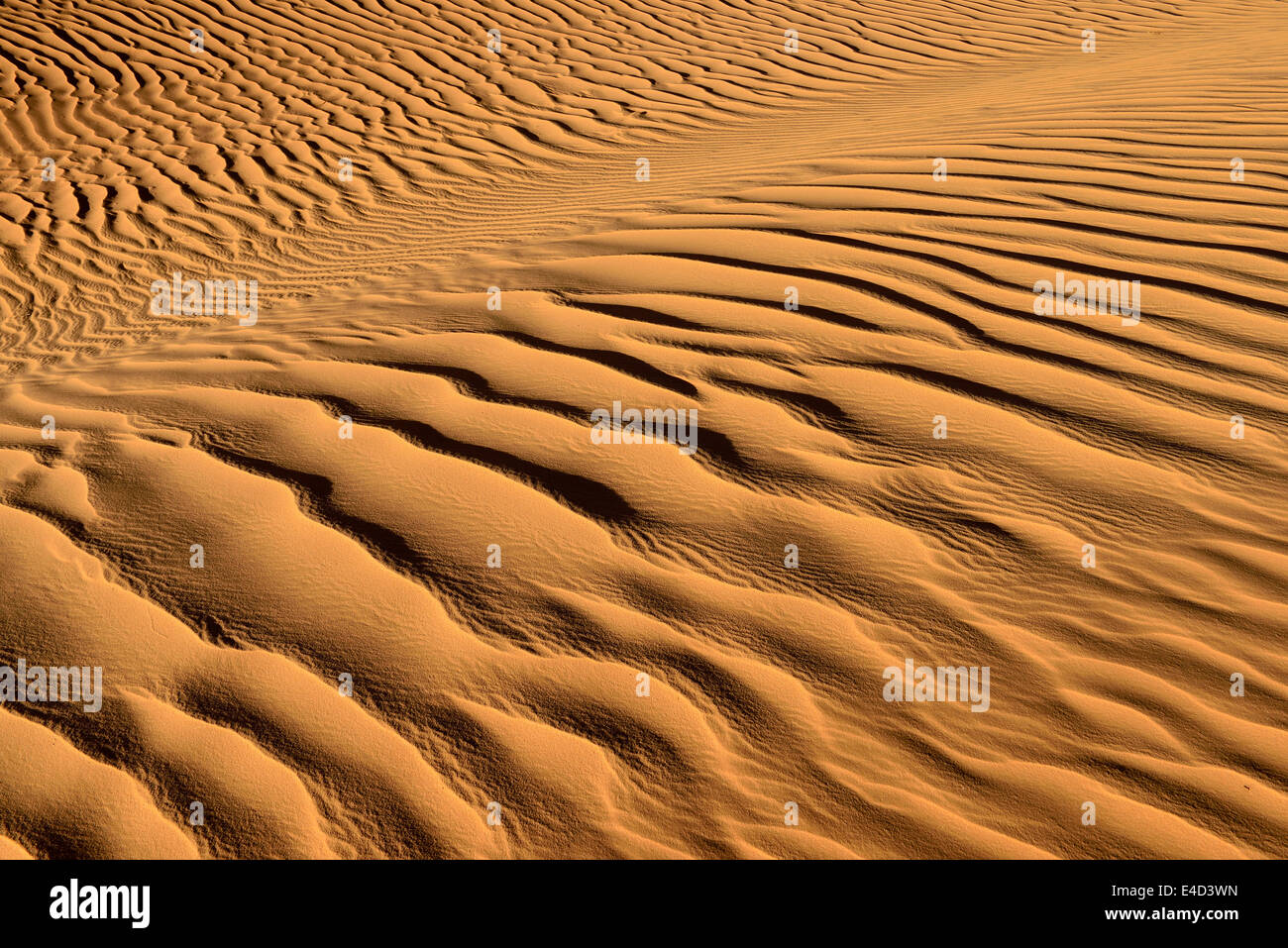 Sand ripples, texture on a sand dune, Tassili n'Ajjer, Sahara desert ...